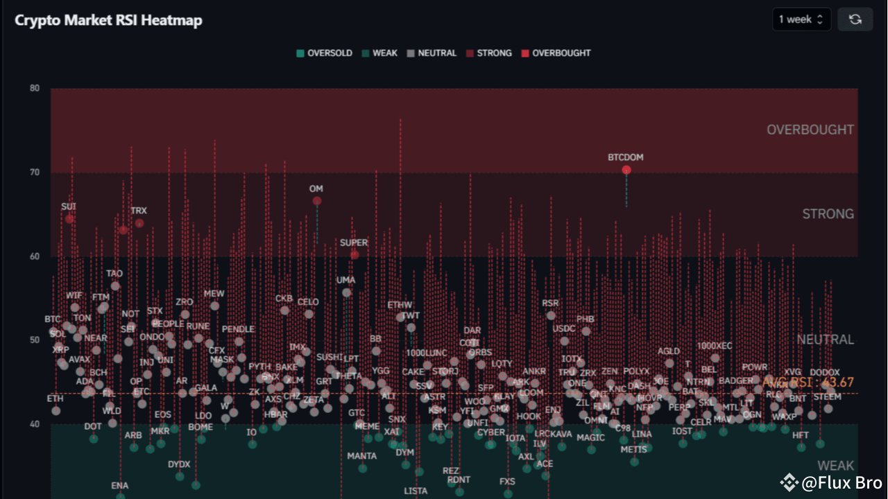 I bet you no one tell you like this :Crypto Market RSI Heatmap ...