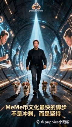 From "one dog" to "four dogs" journey Doge became Doge not | puppies ...