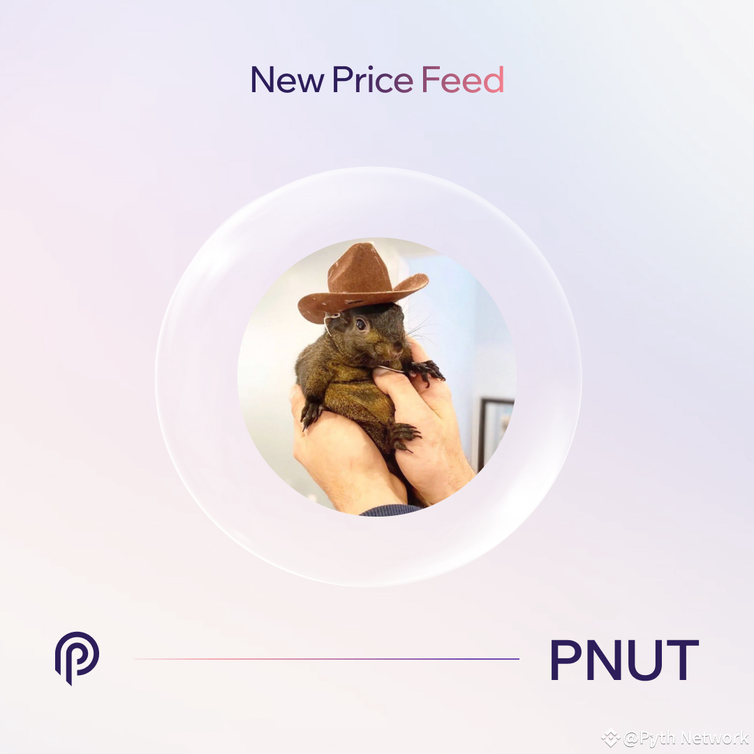 The Pyth Network has released its PNUT/USD price feed. $PNU | Pyth Network on Binance Square