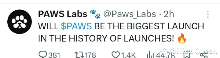 Introducing #PAWS 🐾 – A groundbreaking opportunity in the w | Hiba ...