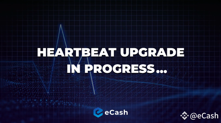 Heartbeat Upgrade in Progress... ⚙️🛠️ $XEC | eCash on Binance Square