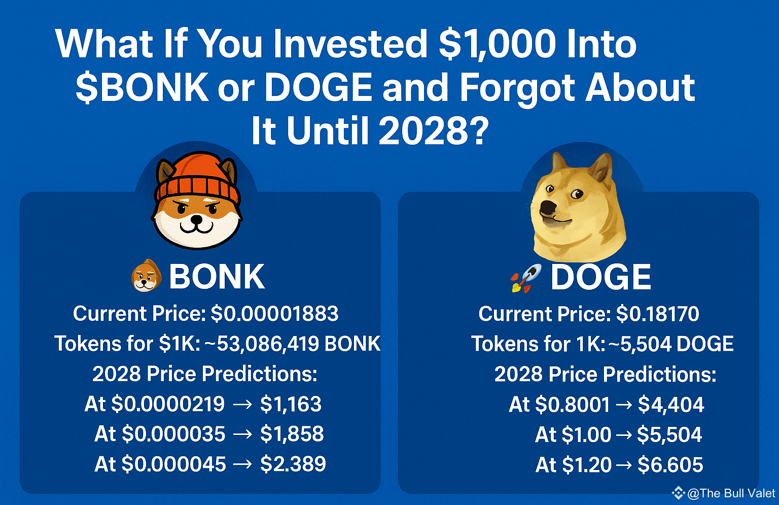 What If You Invested $1,000 Into $BONK or $DOGE and Forgot A | The Bull Valet on Binance Square