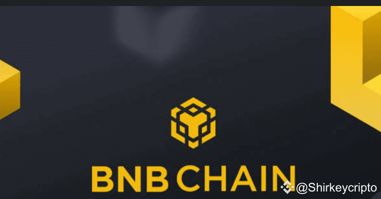 Binance Coin (BNB) surges and stands out among cryptocurrenc ...