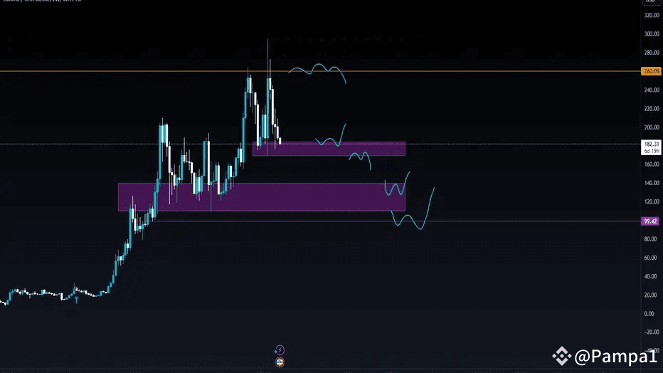 🚨 Solana Alert! 🚨 Potential Bearish Turn & Key Bounce Zones 📉 | Pampa1 on Binance Square