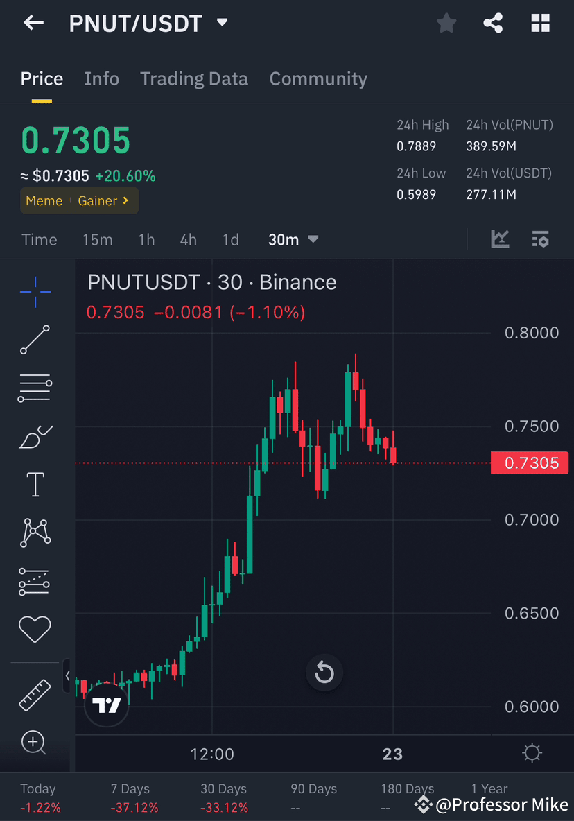$PNUT /USDT Bullish Breakout: Big Moves in Play! 🔥💯 PNUT | Professor Mike on Binance Square