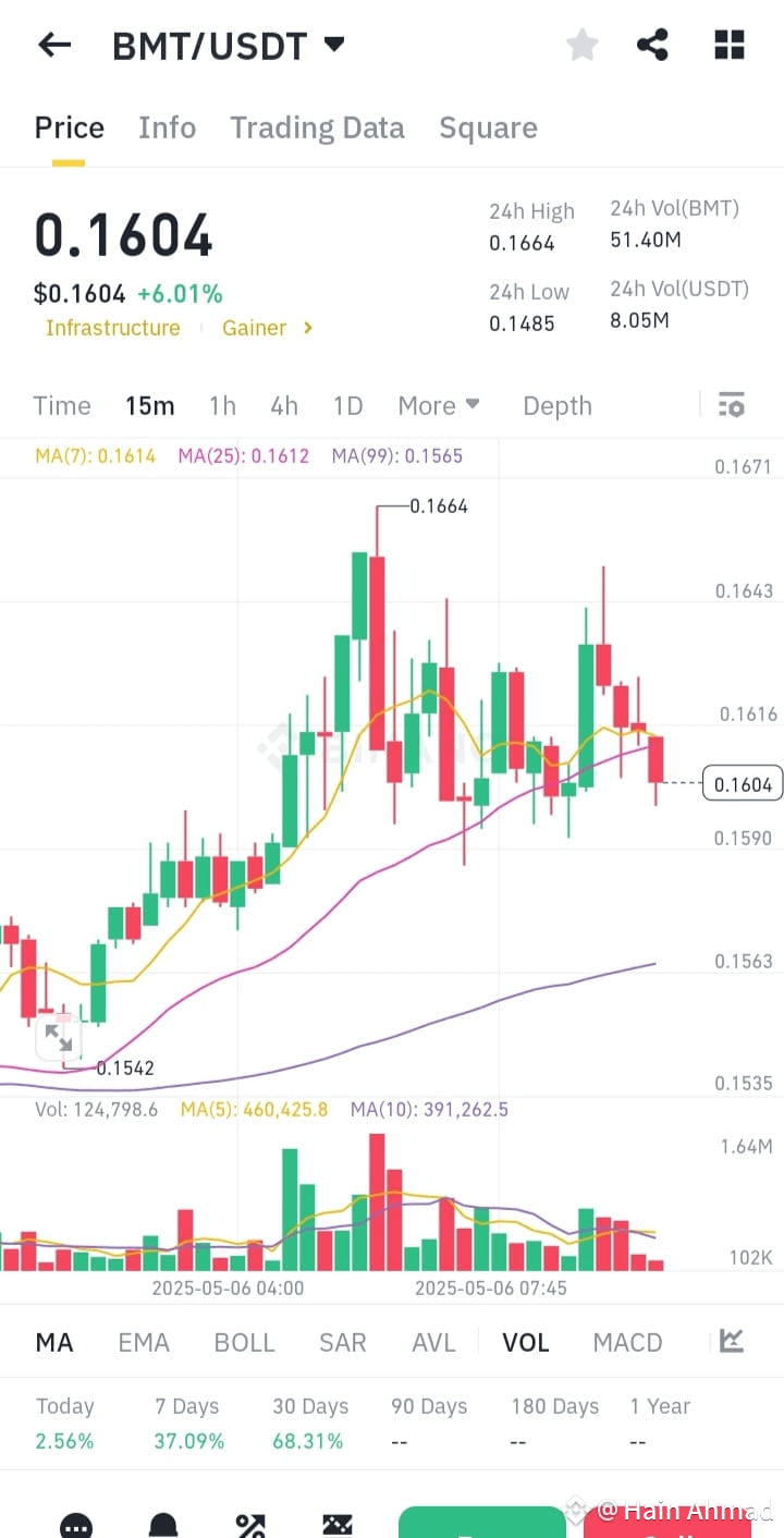 Big Move Alert: $BMT Long Liquidation at $13.699K – Price H | Hain ...