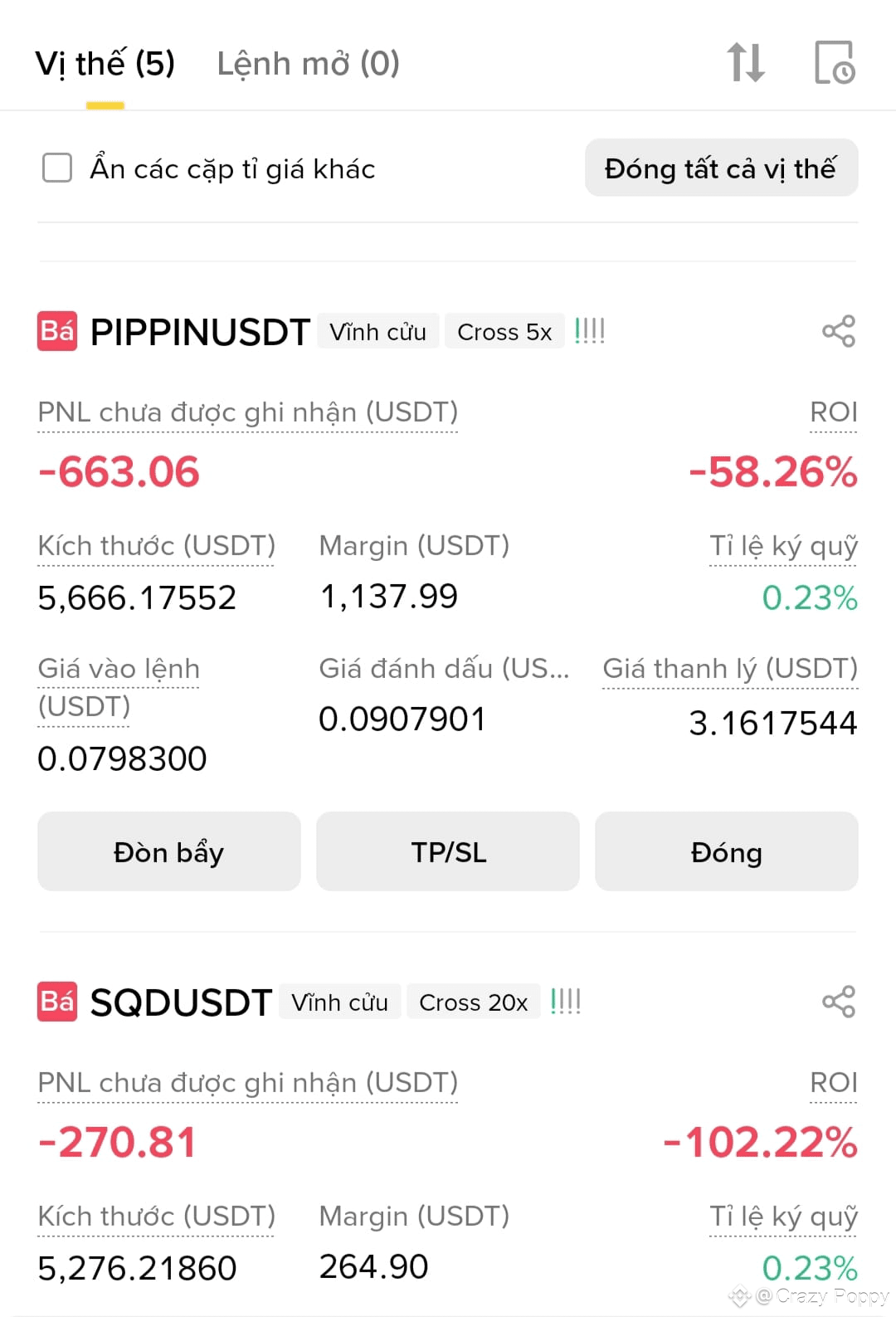 $PIPPIN đón đầu xu hướng, short 5 con top tăng âm cả 5 con | Crazy ...
