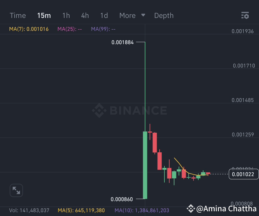$1000CHEEMS is trading at $0.001022, recovering from a low o | Amina Chattha on Binance Square