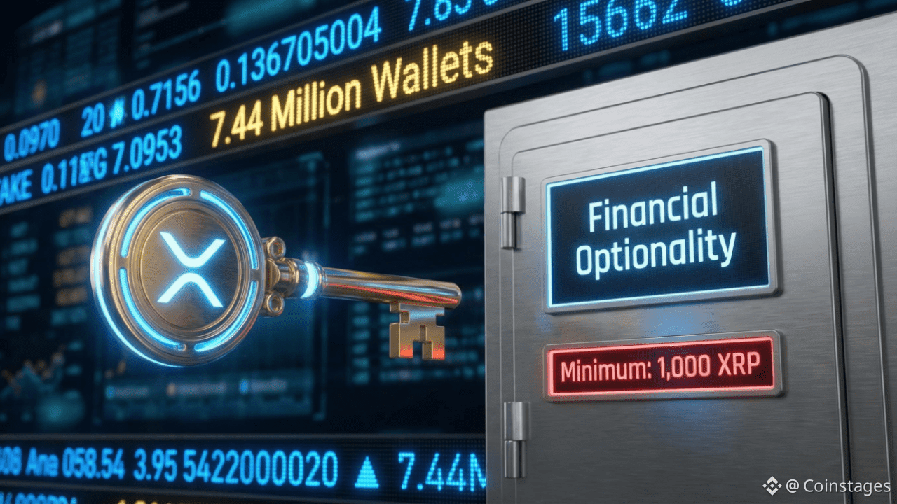 Crypto Founder Says You Need To Hold at Least 1,000 XRP, If You are ...