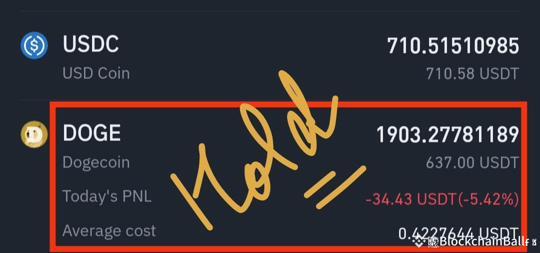 $DOGE Ignites the Rocket Bullish Structure Aims for the Moo ...