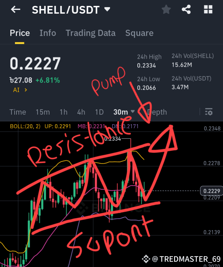 $SHELL THERE’S A GOOD AMOUNT OF SUPPORT 🛡️🟢📈🔥🚀💰 SHE | TREDMASTER_69 on Binance Square