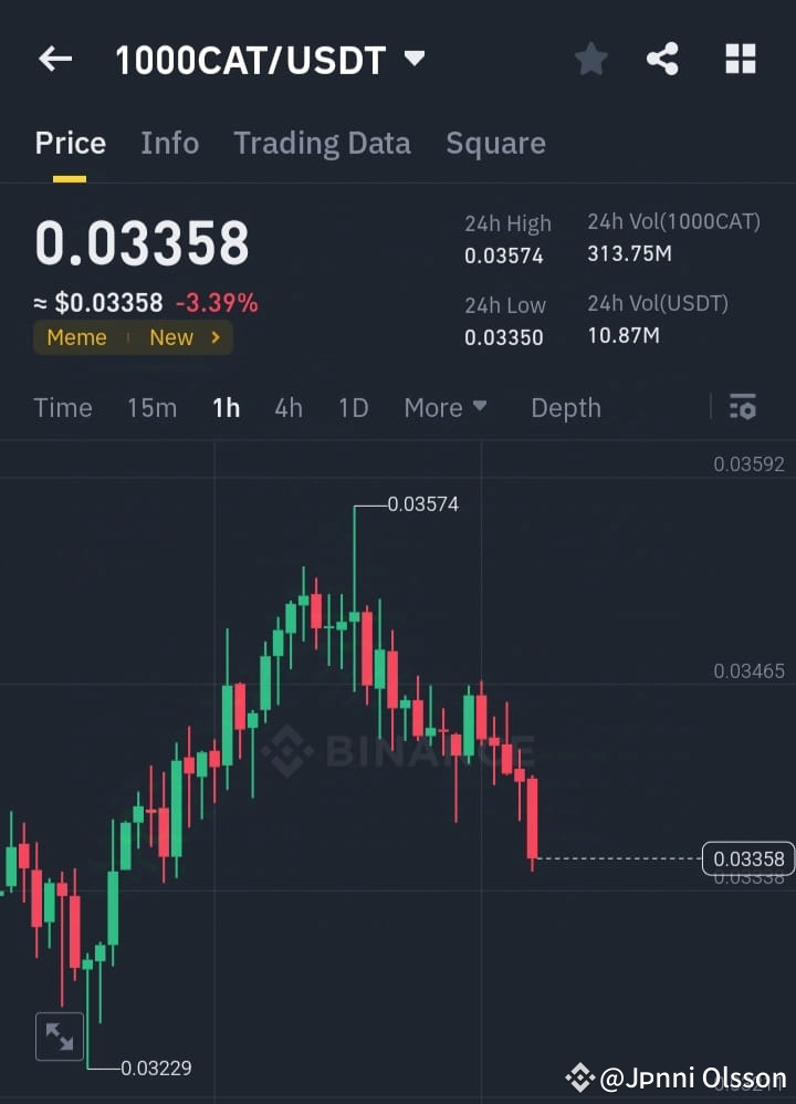 🚨$1000CAT 1000CAT/USDT Market Update: Downward Pressure Int | Janni Olsson on Binance Square