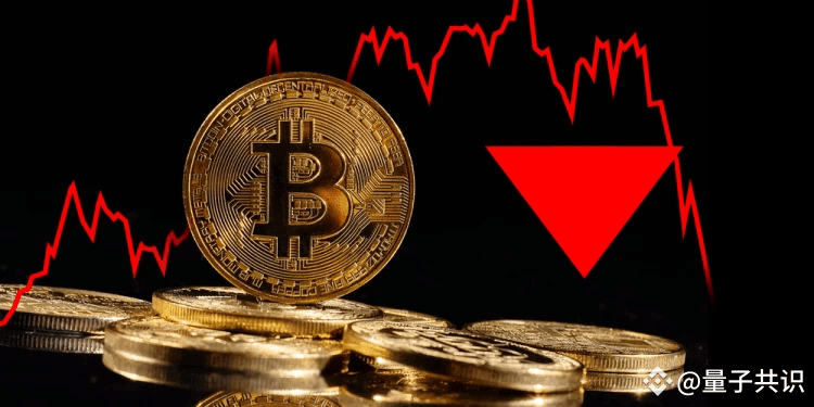 🤩BTC drops below $80,000 causing chaos, while the new star | 量子共识 on ...