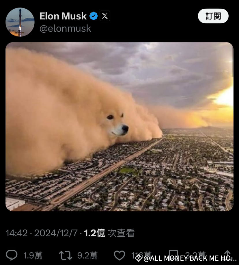 Elon Musk dog memes are about to explode $1MBABYDOGE $DOGE | ALL MONEY ...