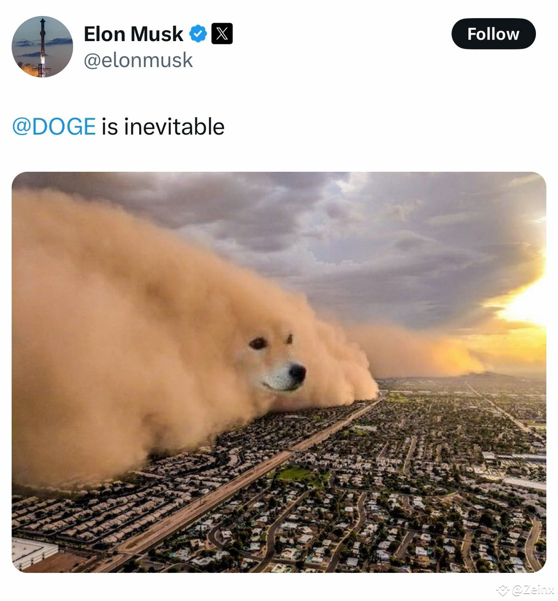 Elon Musk dice "DOGE es inevitable." $DOGE $BTC $ETH | Zeinx en Binance ...