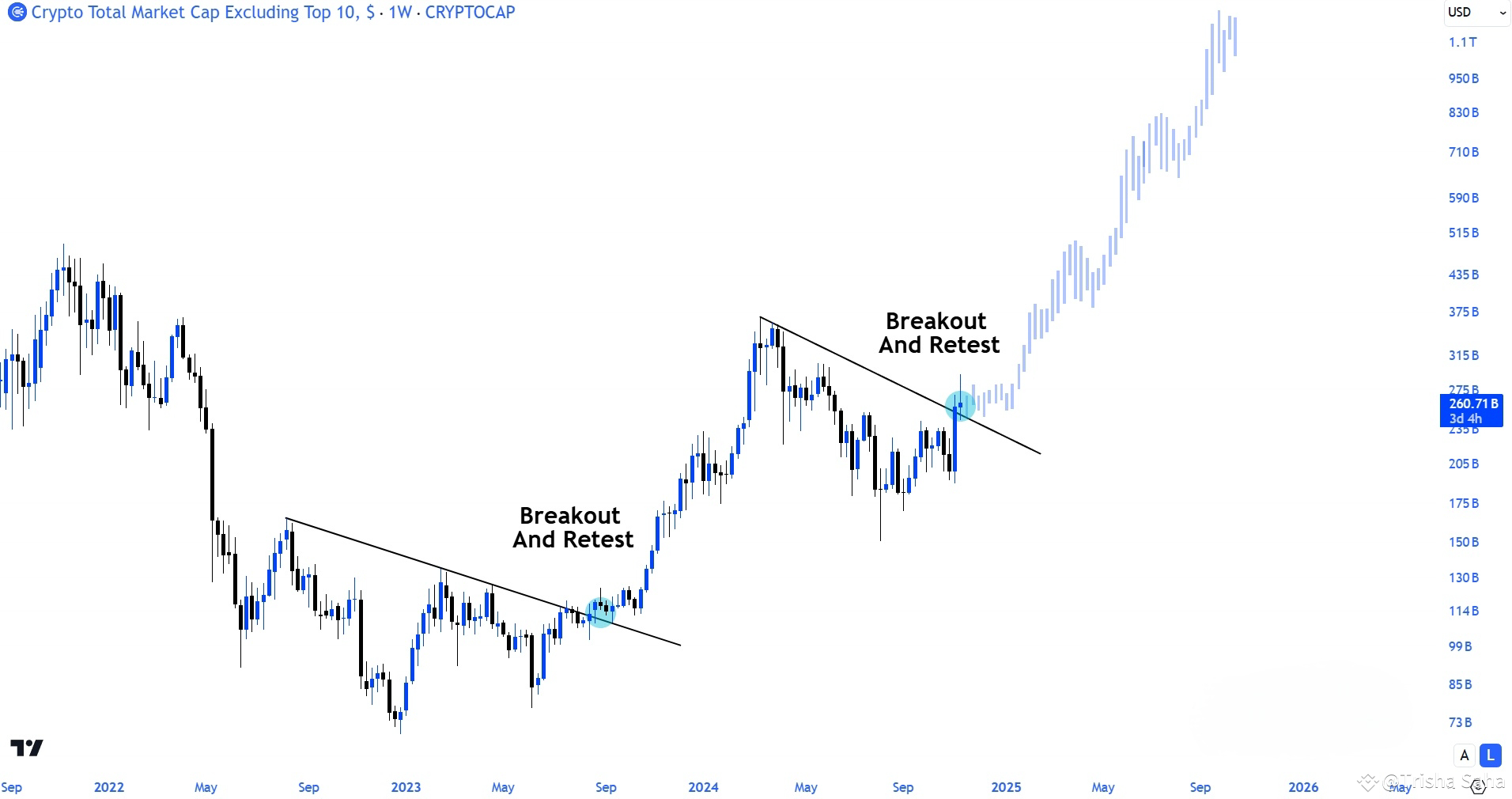 #Altcoins Parabolic Run Loading! #Alts market cap After 240 | Trisha ...