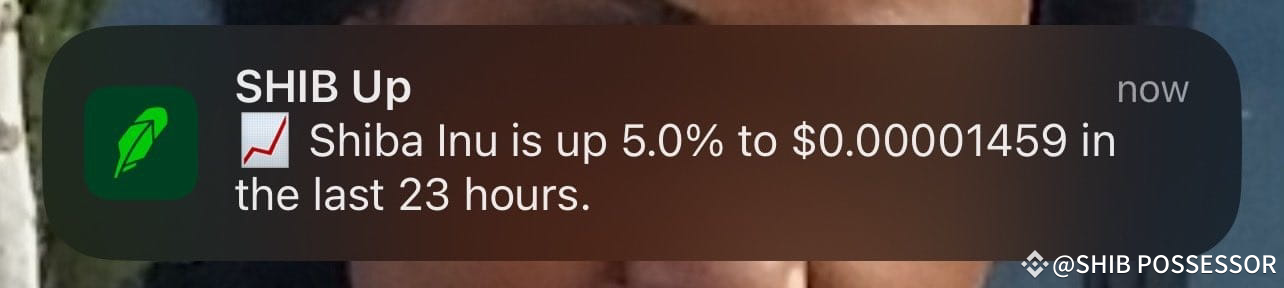 | SHIB POSSESSOR on Binance Square