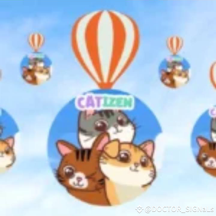 Hello Guys 🤠 🚨Important Good News For $cati Holders🚨 | DOCTOR_SIGNaLs ...