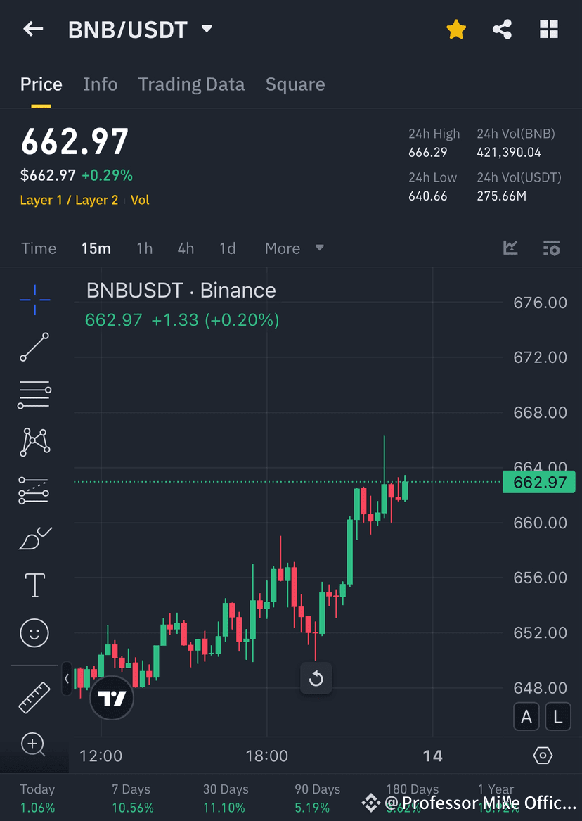 $BNB /USDT BULLISH SURGE STILL CONTINUED — UPTREND HOLDING S | Professor Mike Official on ...