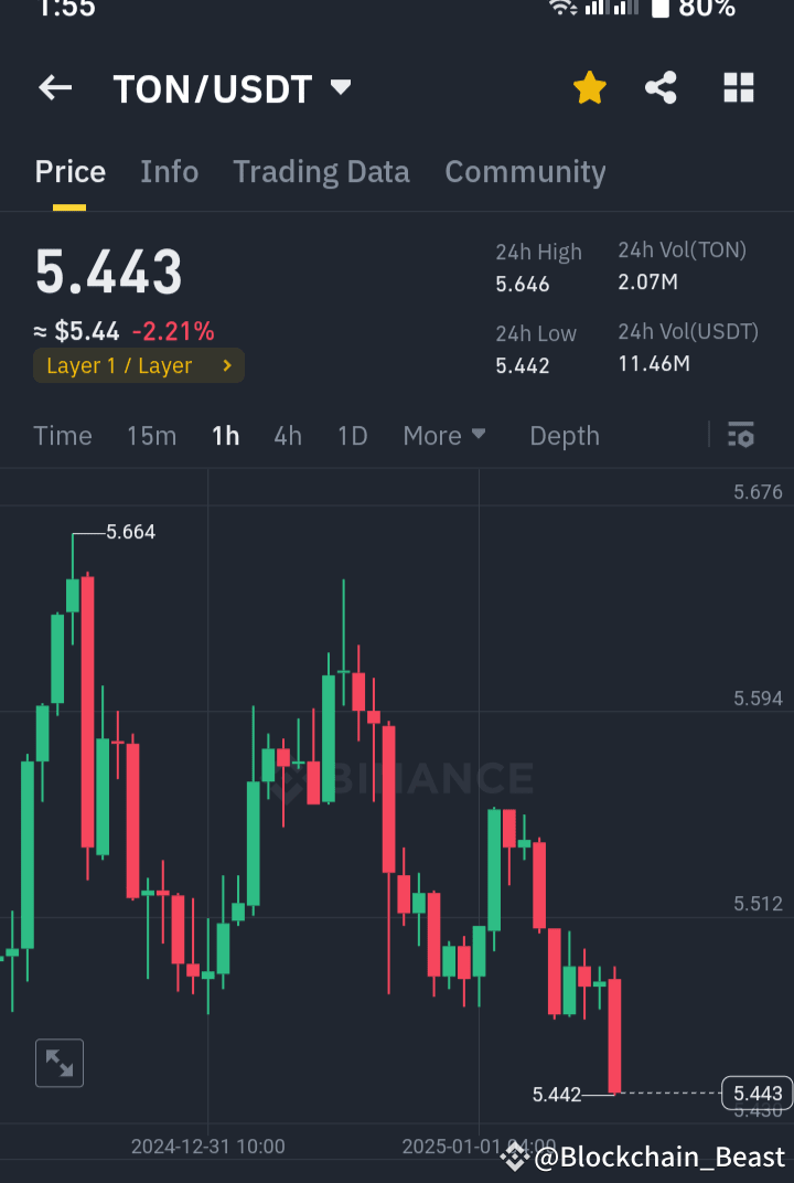 $TON /USDT POISED FOR A REVERSAL: CAN IT BOUNCE BACK? The T | Blockchain_Beast on Binance Square