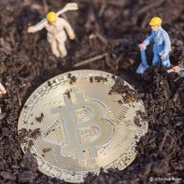 Web3 Security Beginner’s Guide to Avoiding Pitfalls: Fake Mining Pool ...