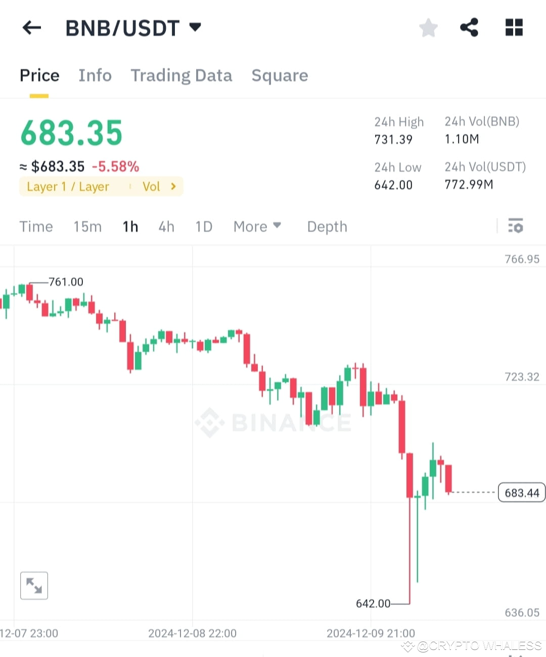 $BNB /USDT Trading Alert: Key Rebound or Breakout Looming | CRYPTO WHALESS on Binance Square