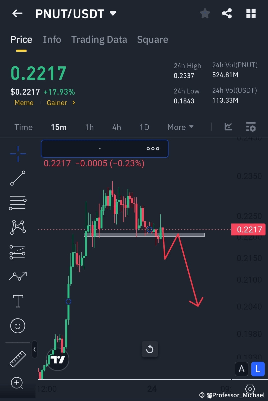 $PNUT – BEARISH SETUP LOADING! 👀 We are closely monitorin | Professor ...