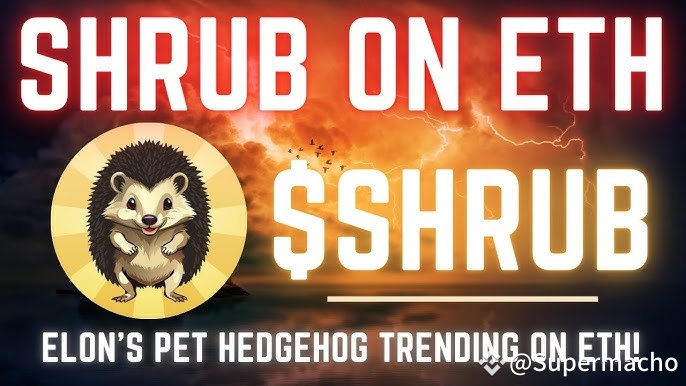 Elon Musk's Hedgehog Meme Coin 'SHRUB' Outpaces Dogecoin 🐹💸 ...