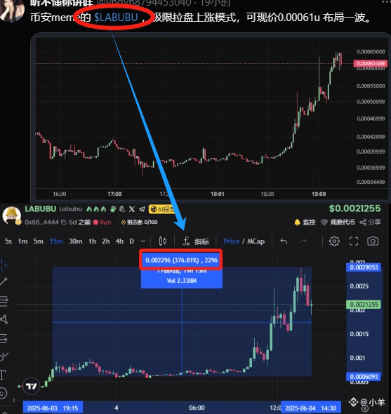 The current market value of LABUBU on the BSC chain is 2 | 小羊 on ...