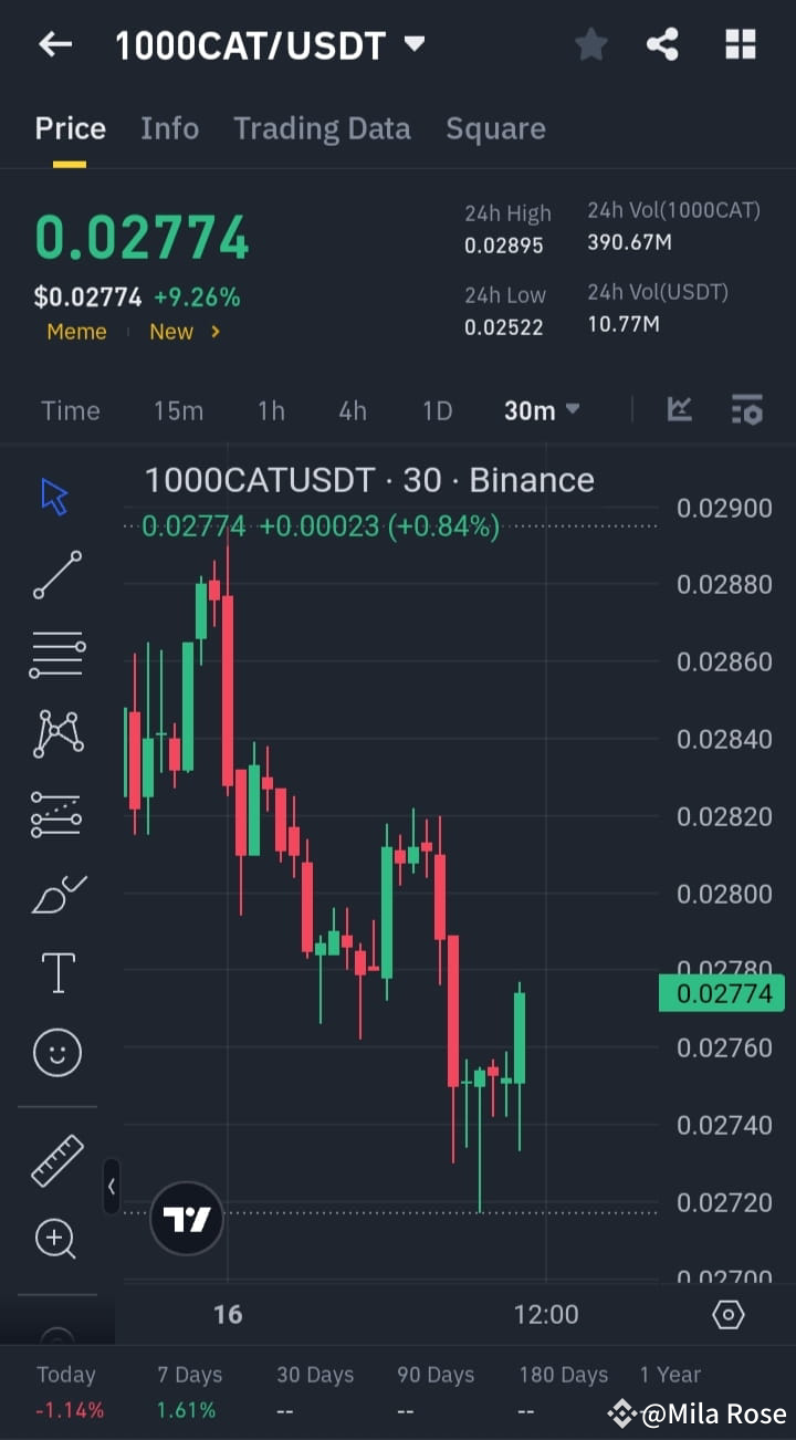 Bull Run Move Confirm 💯 💫 Ready for next move 💯 $1000CAT | Mila Rose on Binance Square