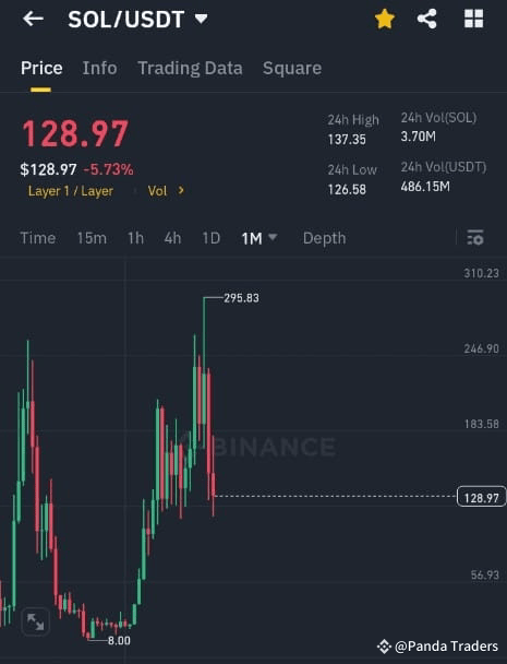 🚀 What If You Buy 100 $SOL Today? The 2025 Endgame Awaits! | Panda ...