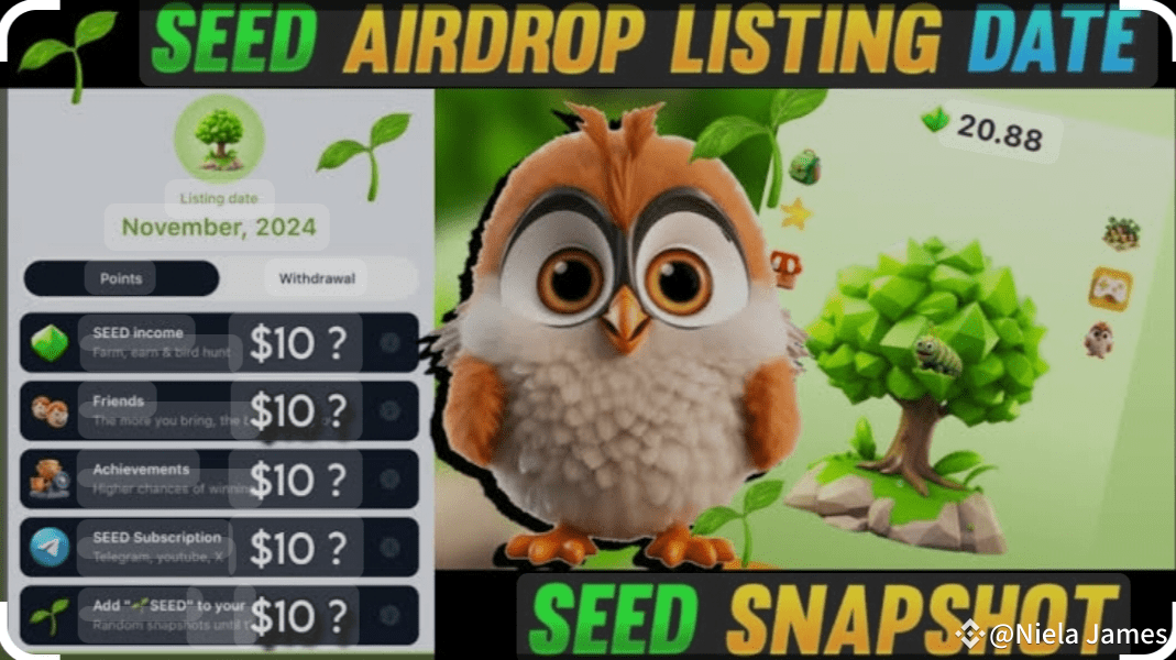 SEED Airdrop and Listing: Key Updates and 2024 Price Projections SEED ...