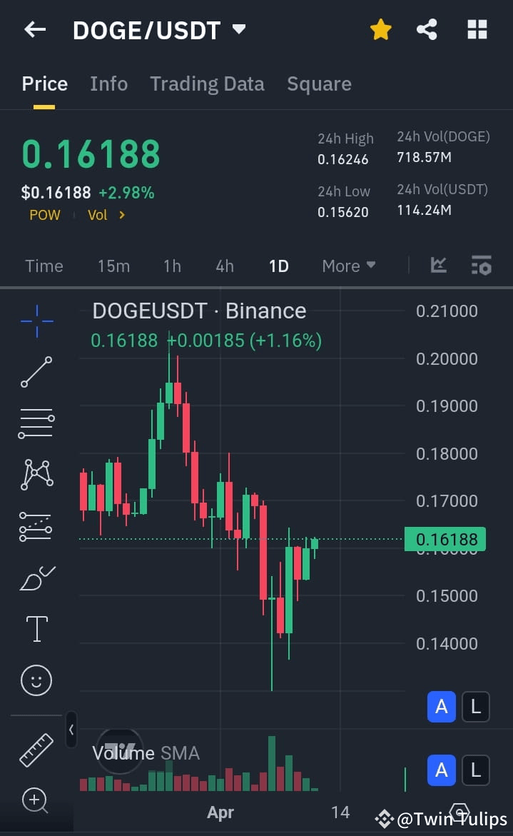 𝑫𝑶𝑮𝑬/𝑼𝑺𝑫𝑻 𝑺𝒊𝒈𝒏𝒂𝒍 – 𝑩𝒖𝒍𝒍𝒊𝒔𝒉 𝑴𝒐𝒎𝒆𝒏𝒕 | Twin Tulips X Web3 Protocol on Binance Square