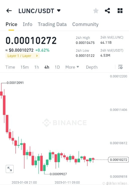 🚀 $LUNC /USDT: Buy Opportunity with Positive Momentum! 💥 | Brian Wilson on Binance Square