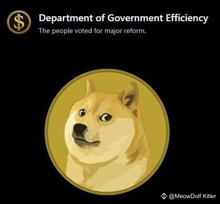 $DOGE appeared on the website of the US Department of Gover | MeowDolf ...