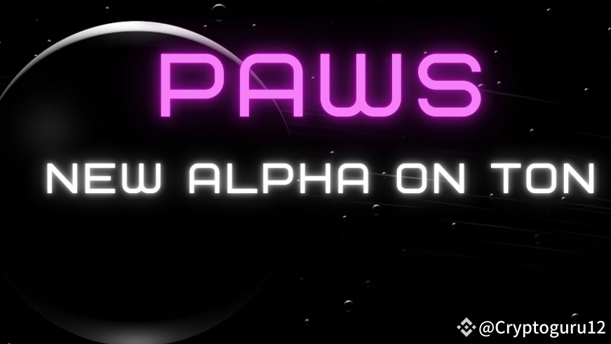 Is $PAWS the Next Big Thing? An In-Depth Analysis on the New $TON-Based ...