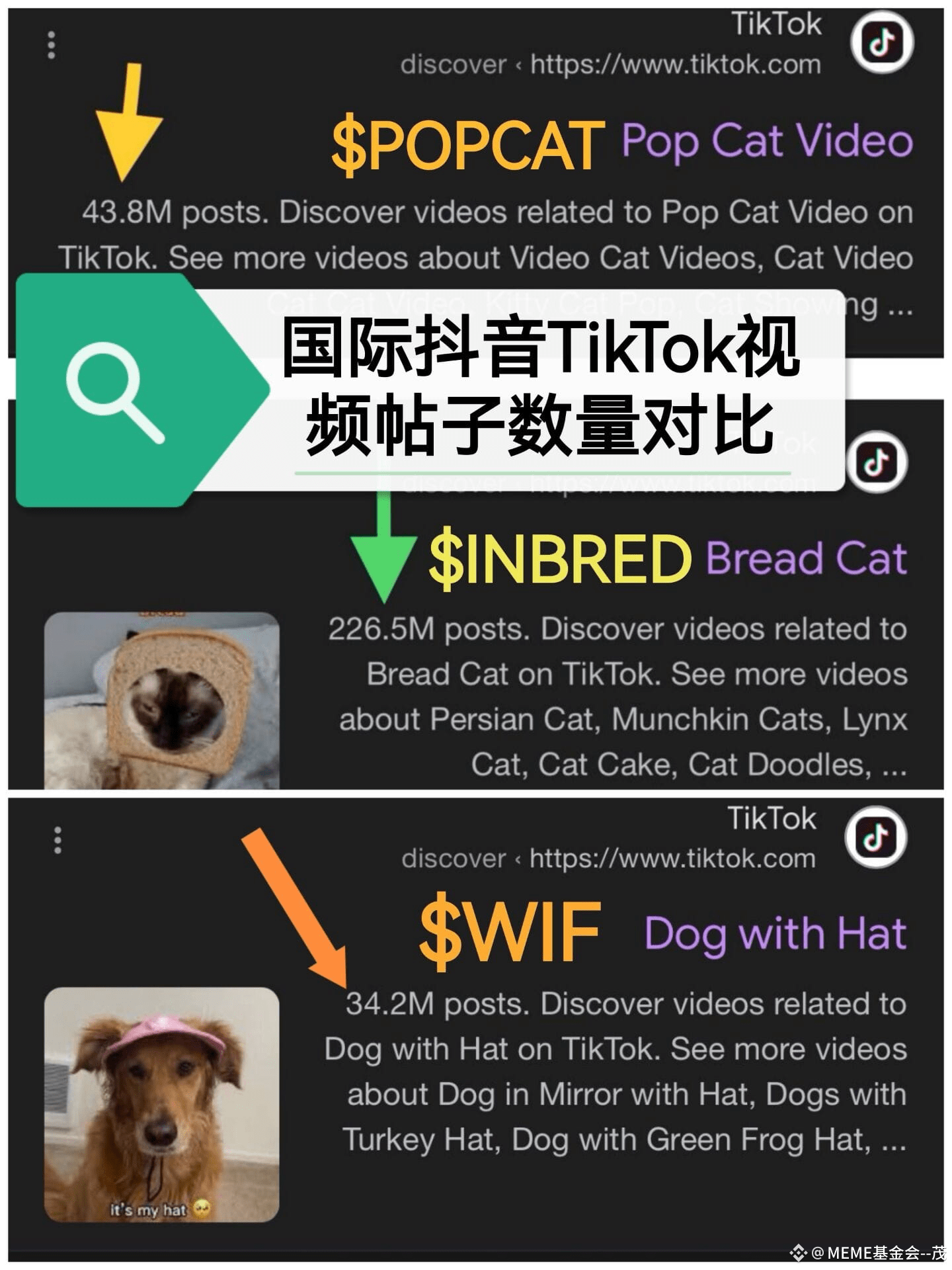 #solana #WIF #popcat Bread Cat $INBRED is the Hat Dog among | MEME基金会--茂 on Binance Square