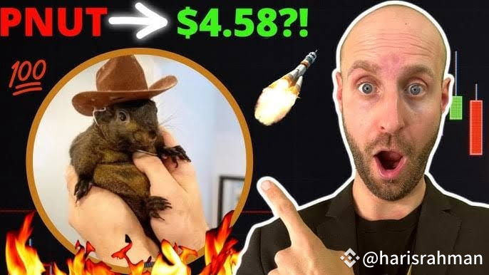 $PNUT COIN PRICE IN 2025: Peanut the Squirrel ($PNUT ) is a ...