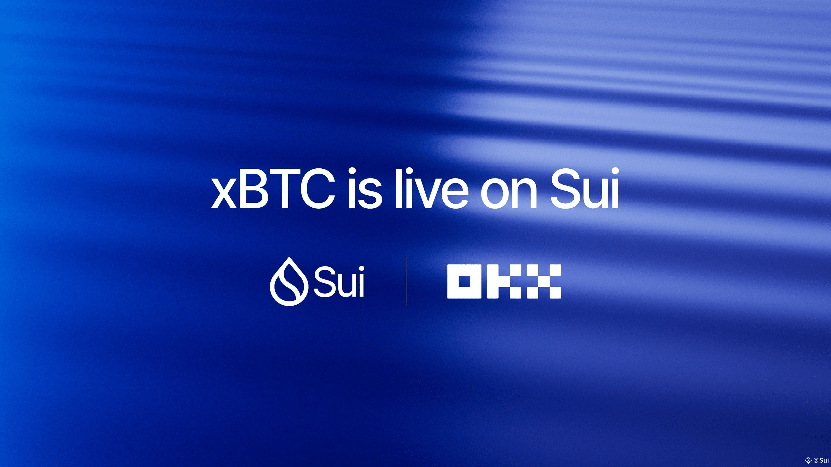 🚨 BTCfi on Sui continues to level up 🚨 @OKX just launched | Sui on Binance Square