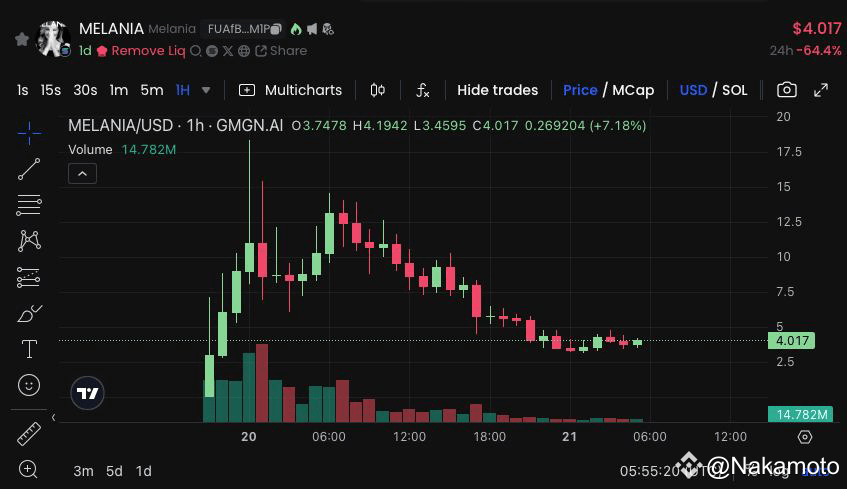 History with minus 10,600,000 $ , on meme token 1 lady of th | Nakamoto ...