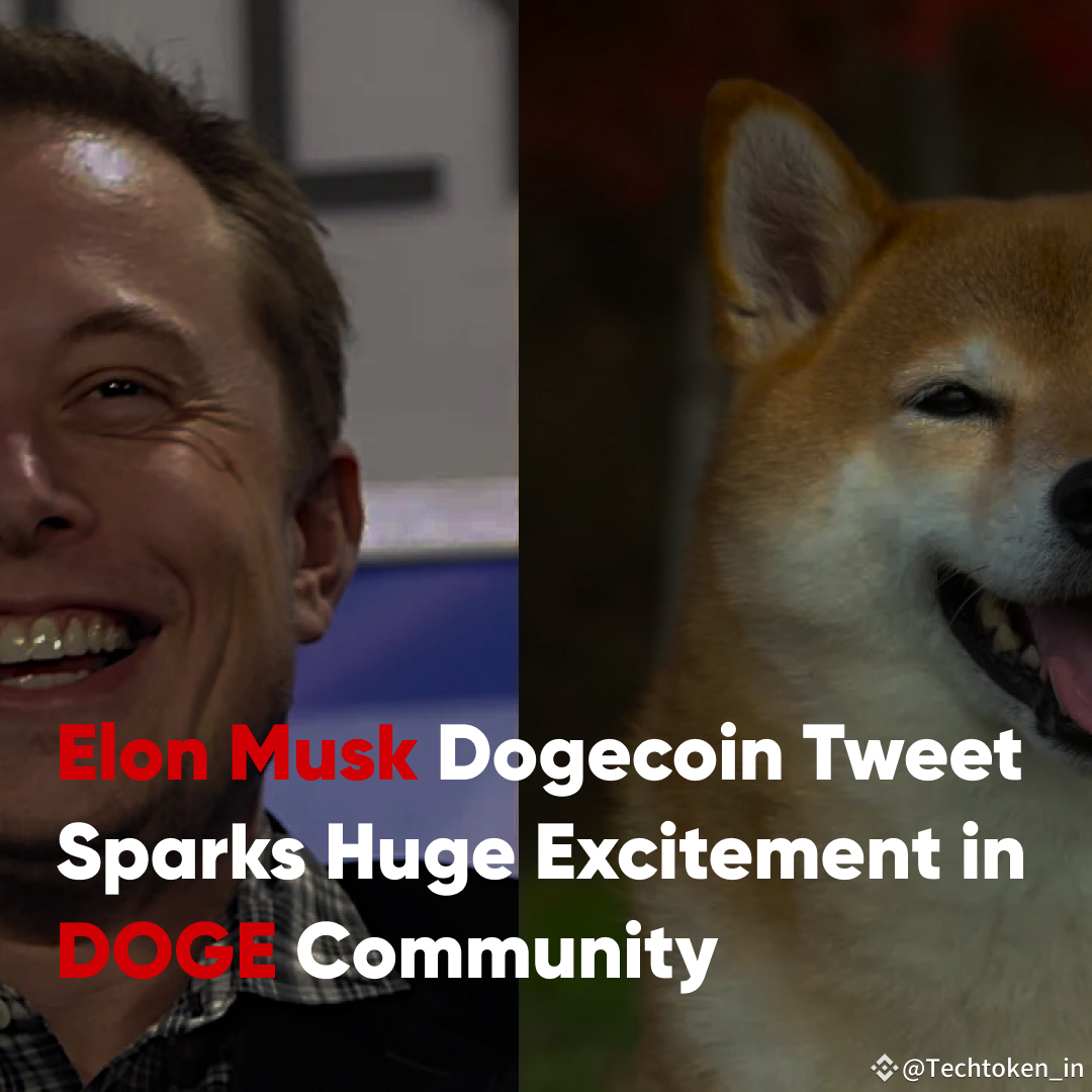 Elon Musk’s Tweet Sends DOGE Soaring 🚀🐶 1. A Single Tweet | Techtoken ...
