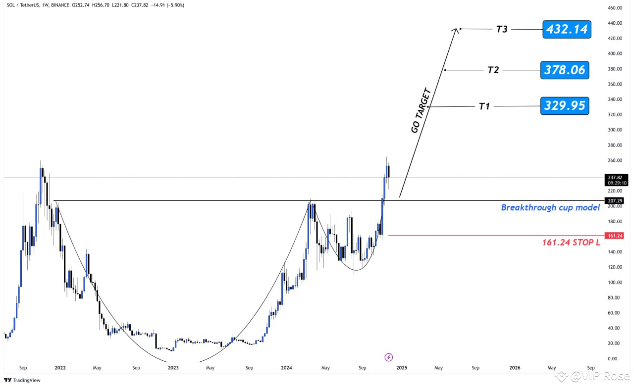 ️$SOL Next Target 120$ Zone Long : 1) 230$ 2) 210$ Target | VIP Rose on ...