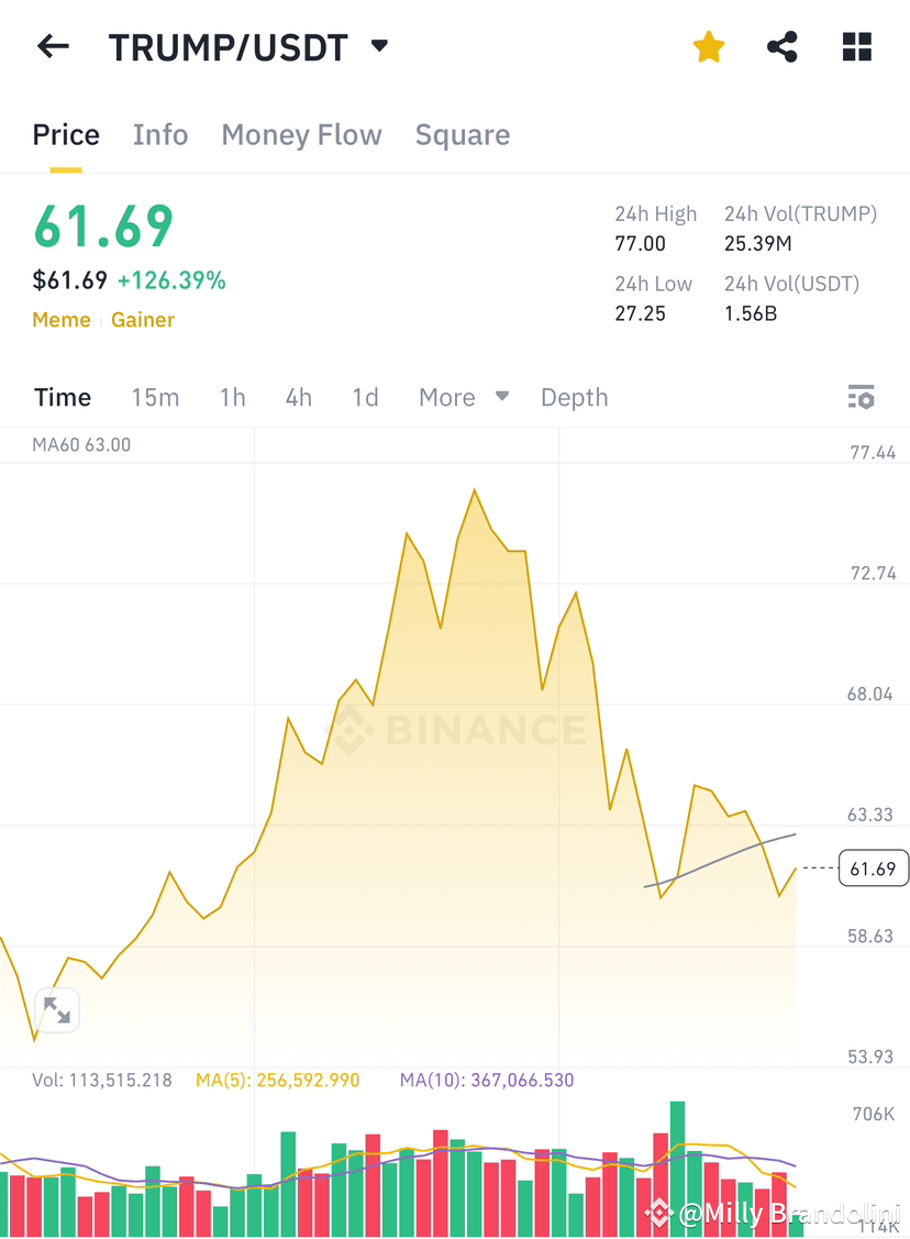 Best Coin In History 😍#TRUMPOnBinance | Milly Brandolini on Binance Square