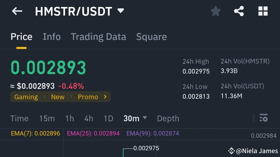 The HMSTR/USDT pair currently trades at $0.002893, reflecting a slight dip of 0.48%. Observing ...