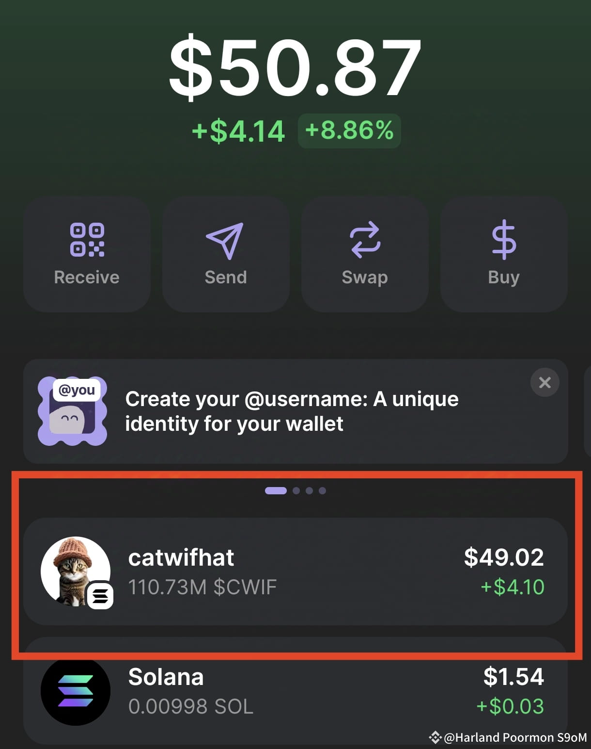 Buy catwifhat before too late 😏 Buy and hold for Minimum 1 | Harland ...