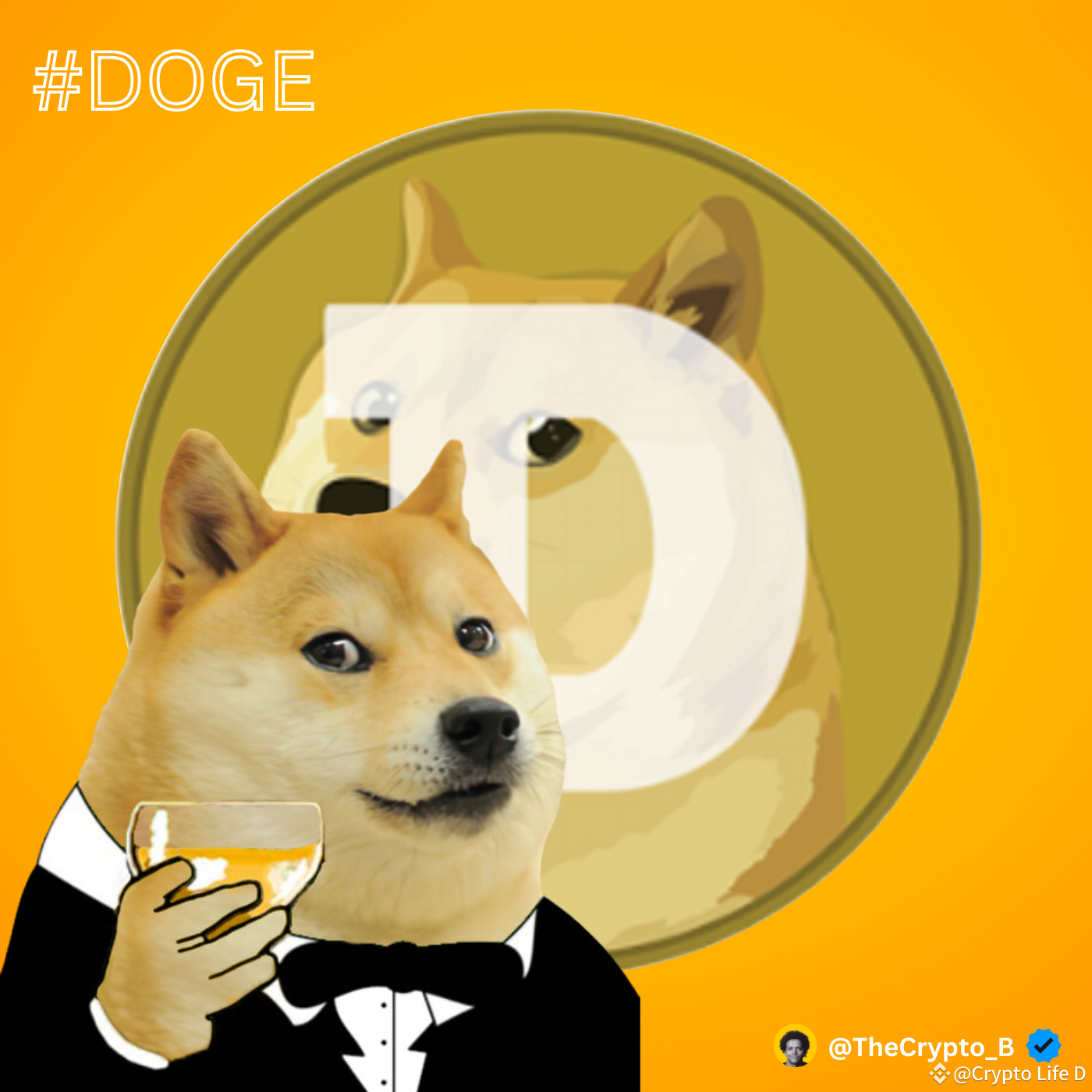 🚀Dogecoin Hits 2024 High! What's Next?🚀 DOGE has surged | Crypto Life D ...