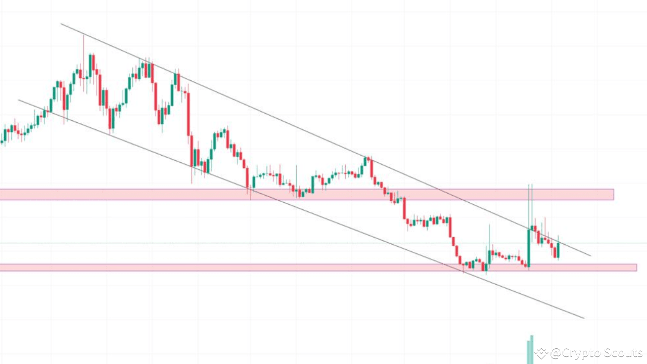 IRIS poised for breakout: consolidation above support could signal potential upside | Crypto ...