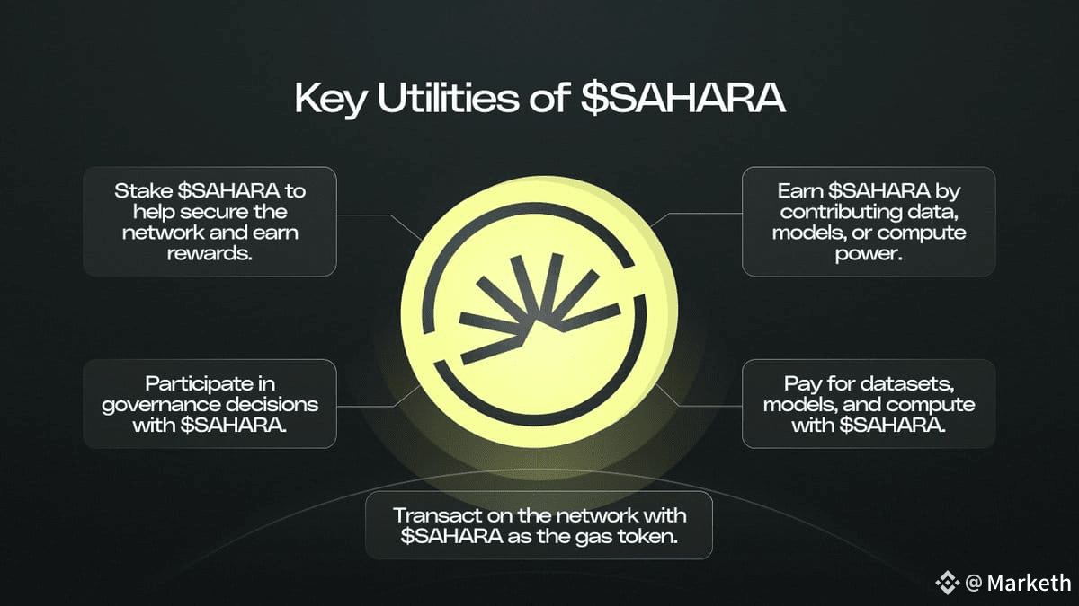 Get rewarded for contributing to the future of AI with Sahar | Bear ...