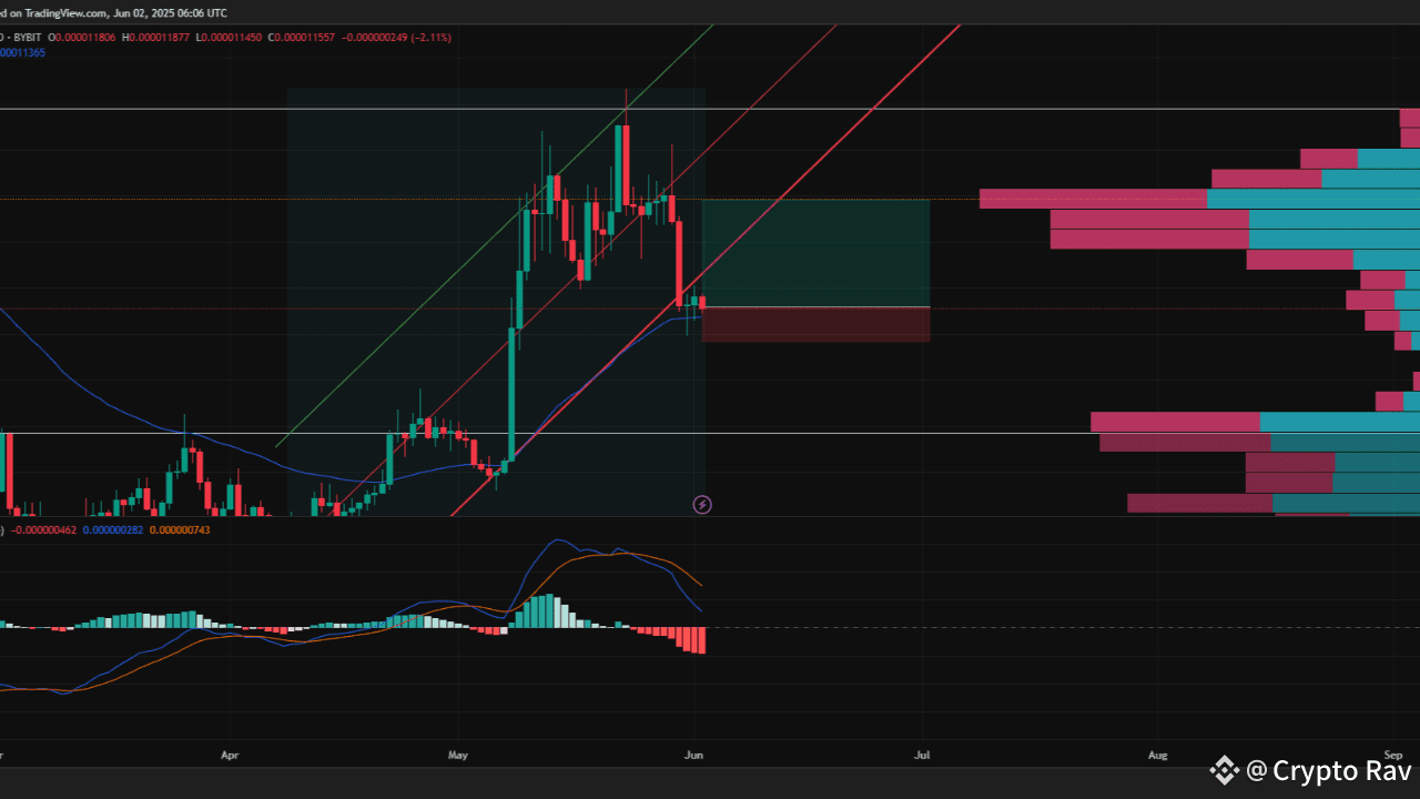 PEPE Holding Strong — Targeting $0.0000135 | Crypto Rav on Binance Square