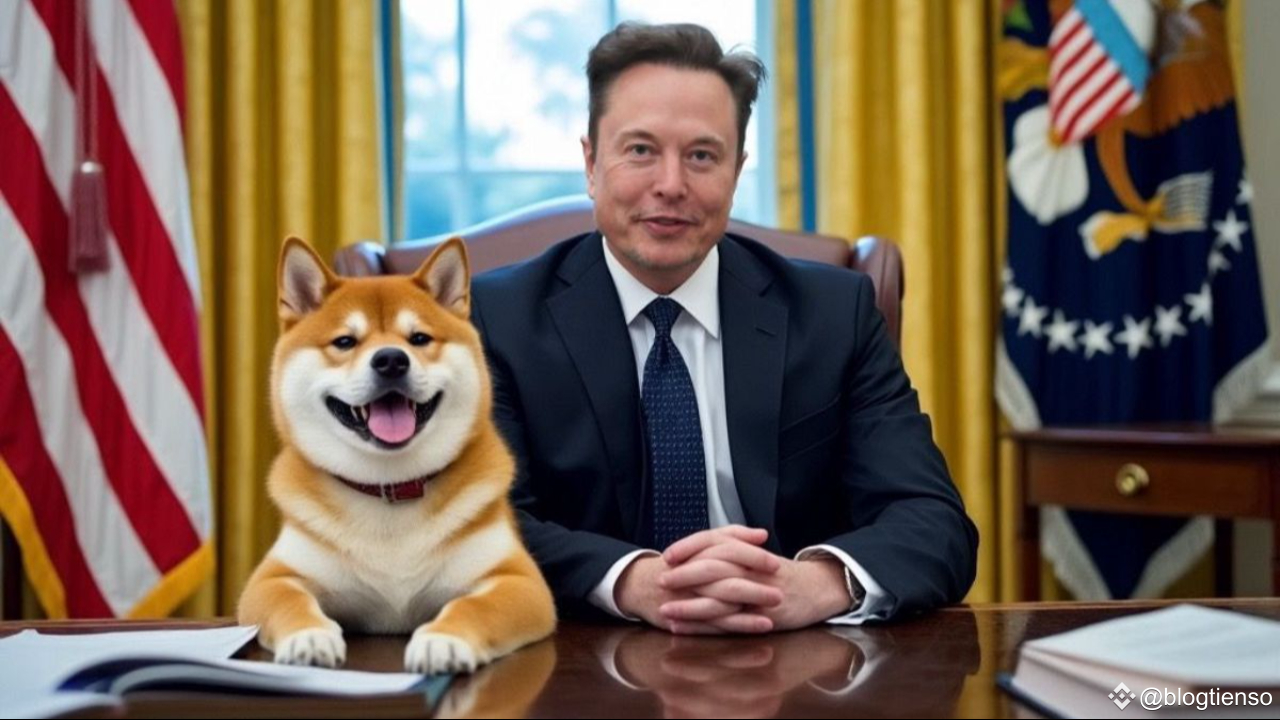 Elon Musk's Abrupt Shutdown of DOGE: A Turning Point for Cryptocurrency ...